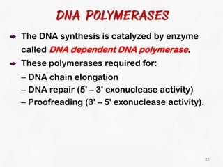 DNA Replication - | PDF