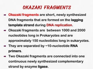 DNA Replication - | PDF