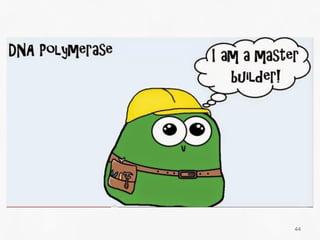 Dna Replication Cartoon