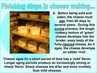 JUST SAY CHEESE | PPT | Desserts and Baking | Food & Drink