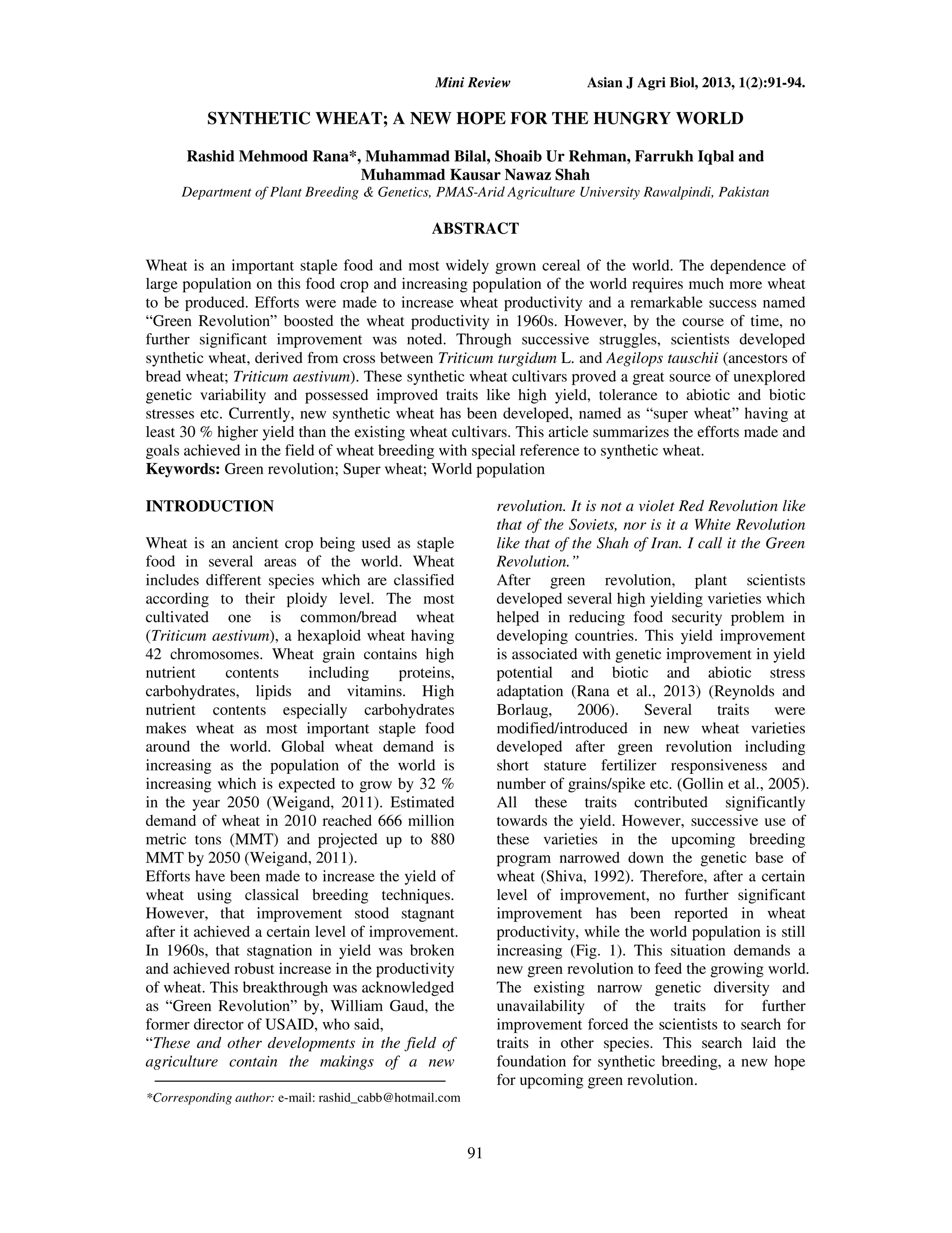 SYNTHETIC WHEAT; A NEW HOPE FOR THE HUNGRY WORLD | PDF