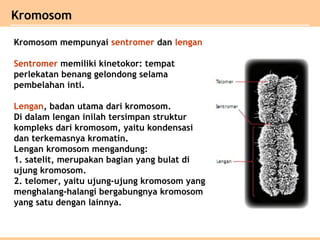 Materi genetik | PPT