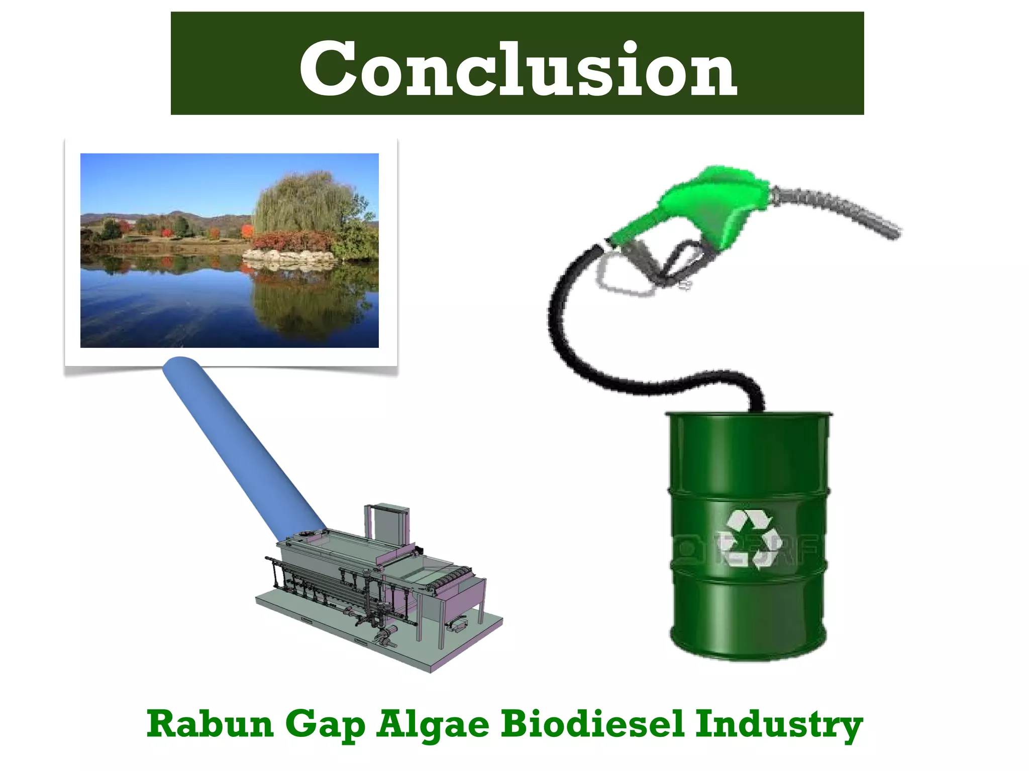 Algae Oil Extraction presentation | PPT | Chemistry | Science