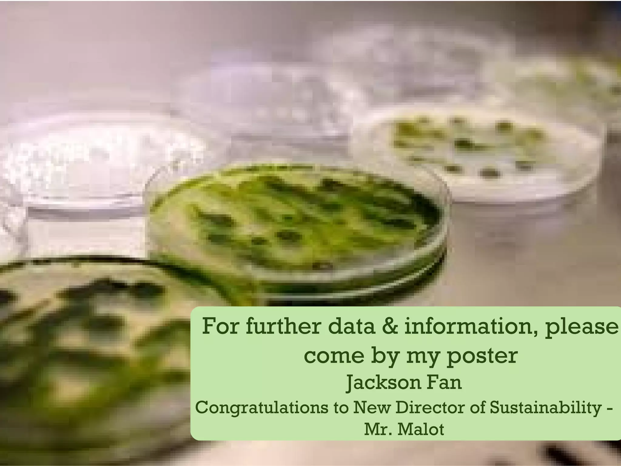 Algae Oil Extraction presentation | PPT | Chemistry | Science