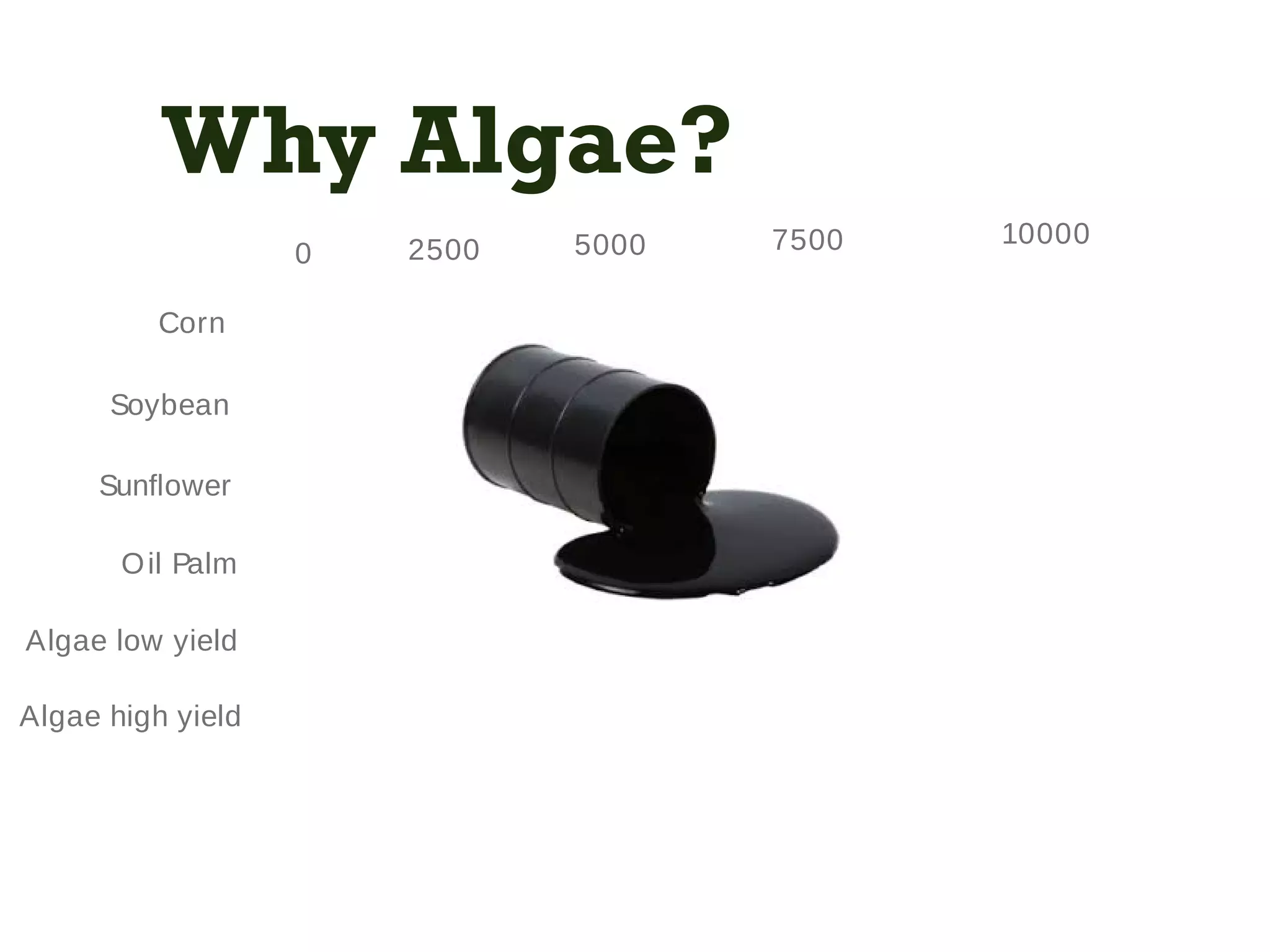 Algae Oil Extraction presentation | PPT | Chemistry | Science