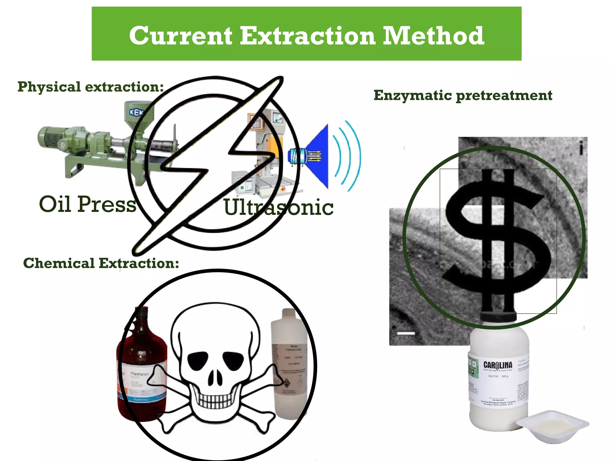 Algae Oil Extraction presentation | PPT | Chemistry | Science