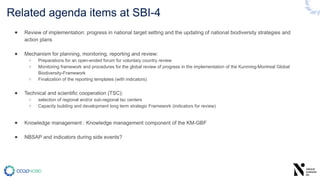 The KM-GBF monitoring framework – status & key messages.pptx