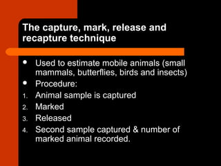 6626907 83-population-ecology | PPT