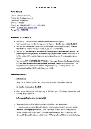 amit cv | DOCX