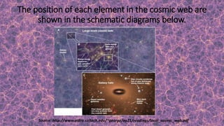 The Cosmic Web | PPT