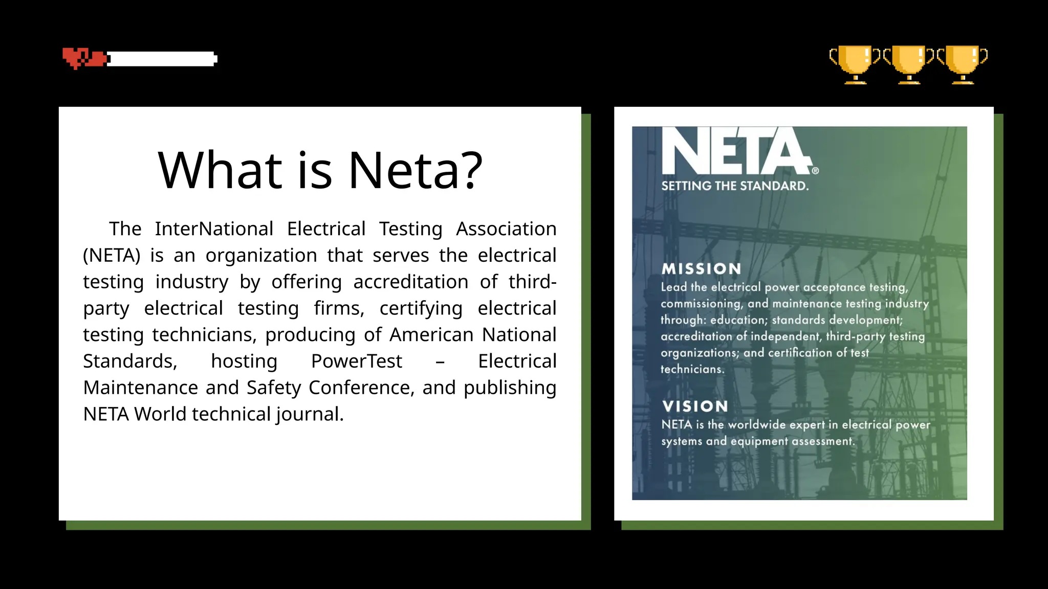 664100688-NETA.pptx..................... | PPTX