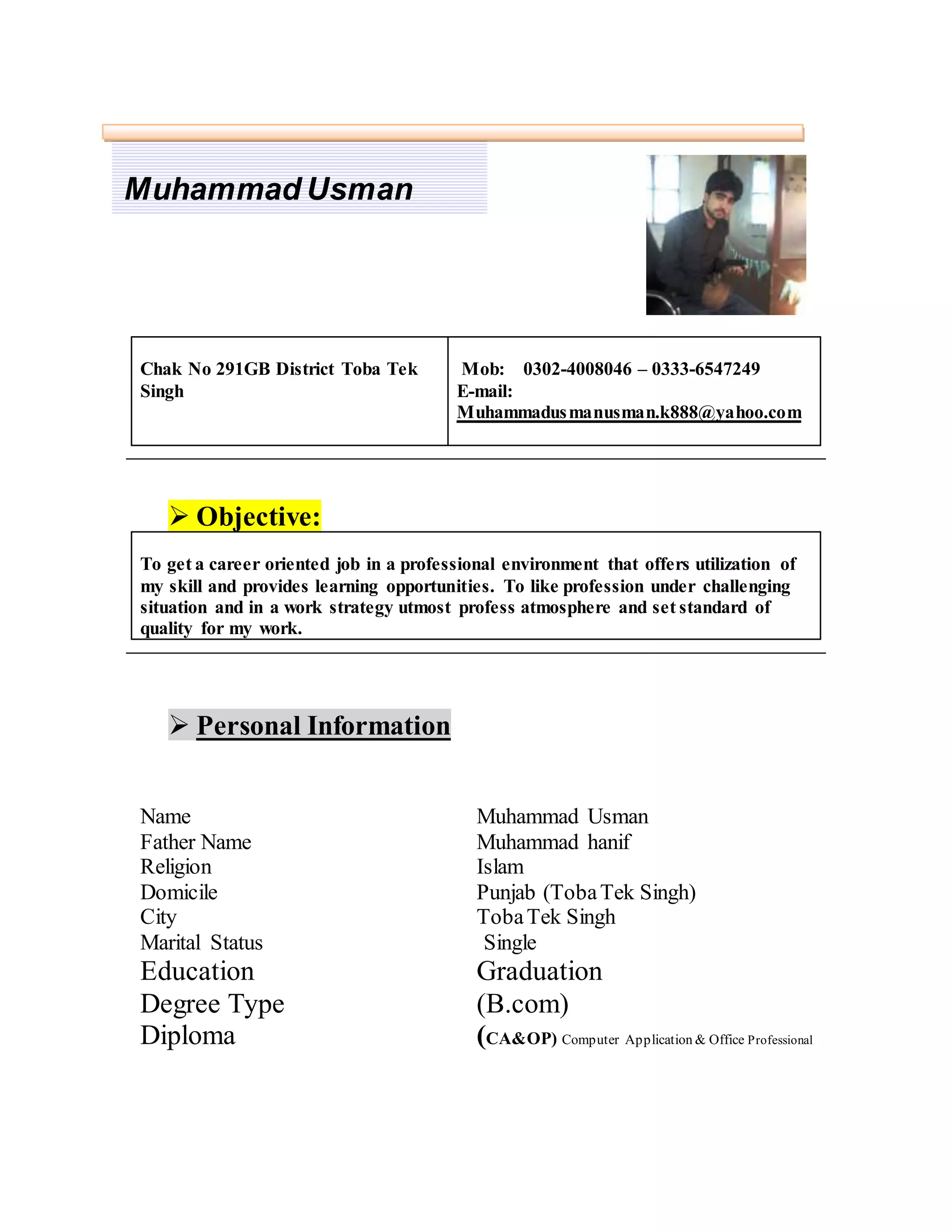 l Usman CV | PDF