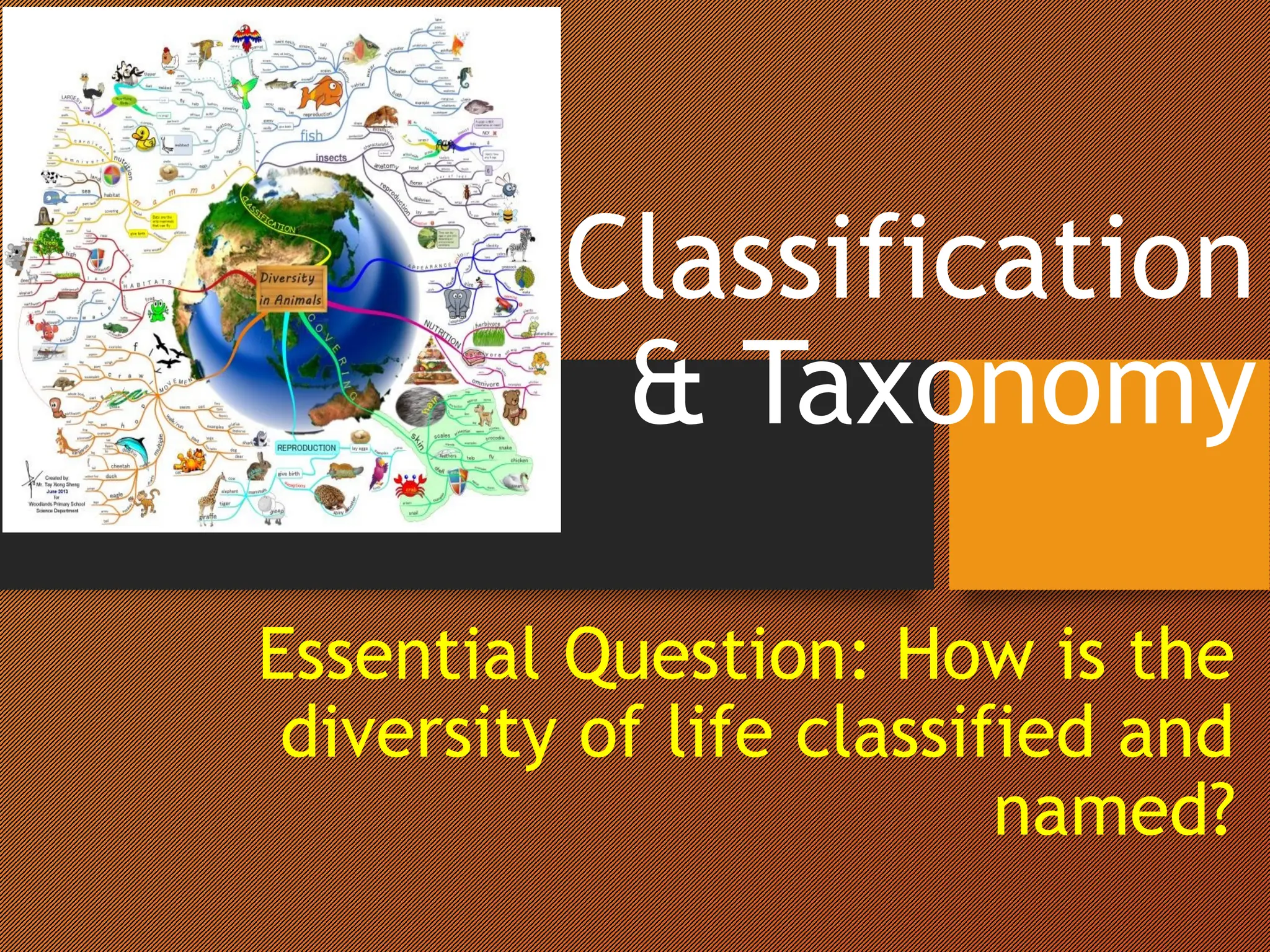 Taxonomy ppt class with introduction nd classification | PPT