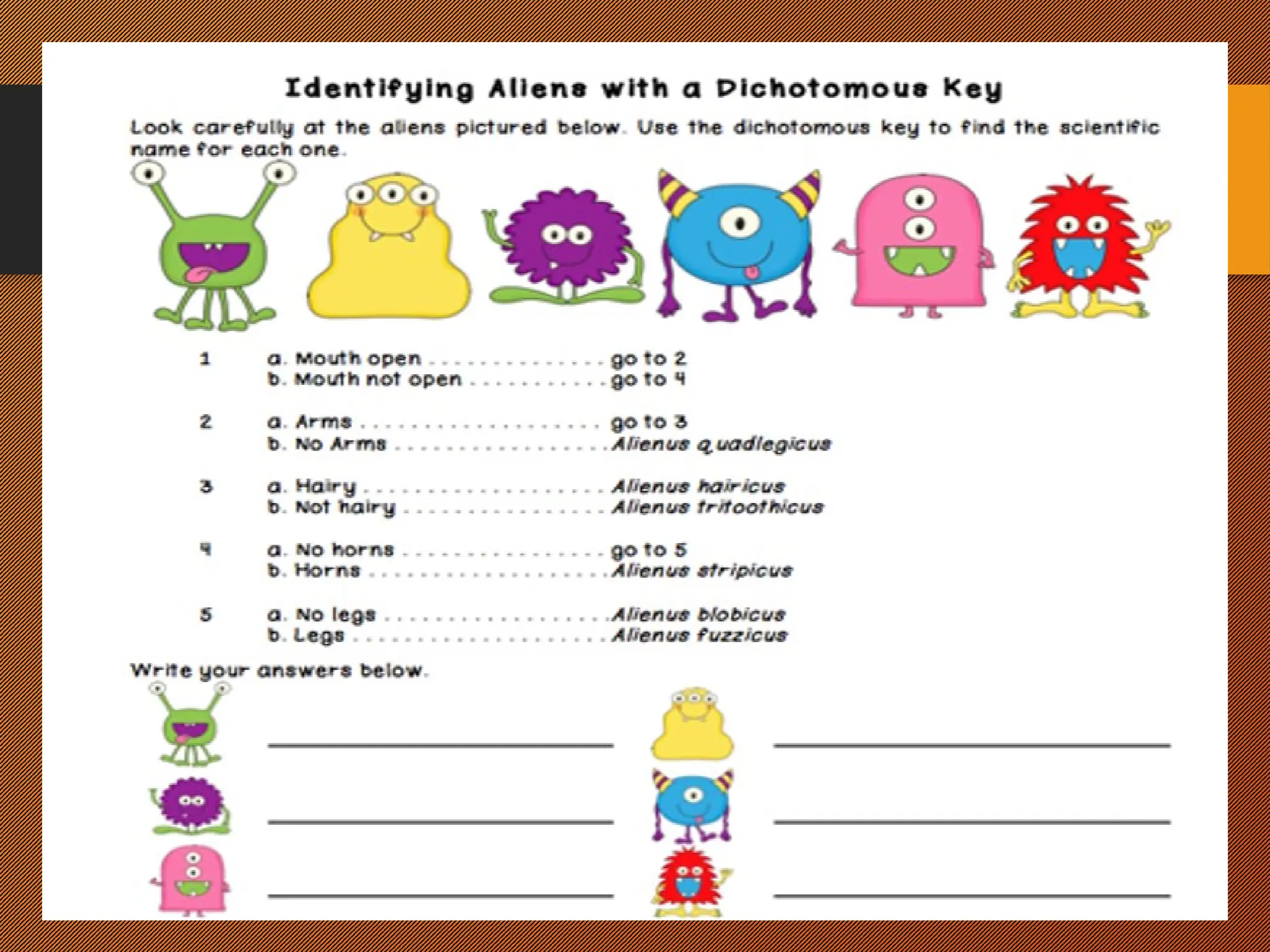 Taxonomy ppt class with introduction nd classification | PPT