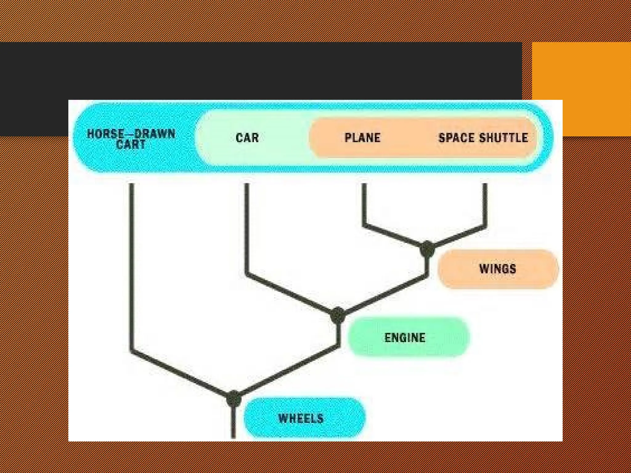 Taxonomy ppt class with introduction nd classification | PPT