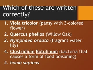 Taxonomy ppt class with introduction nd classification | PPTX