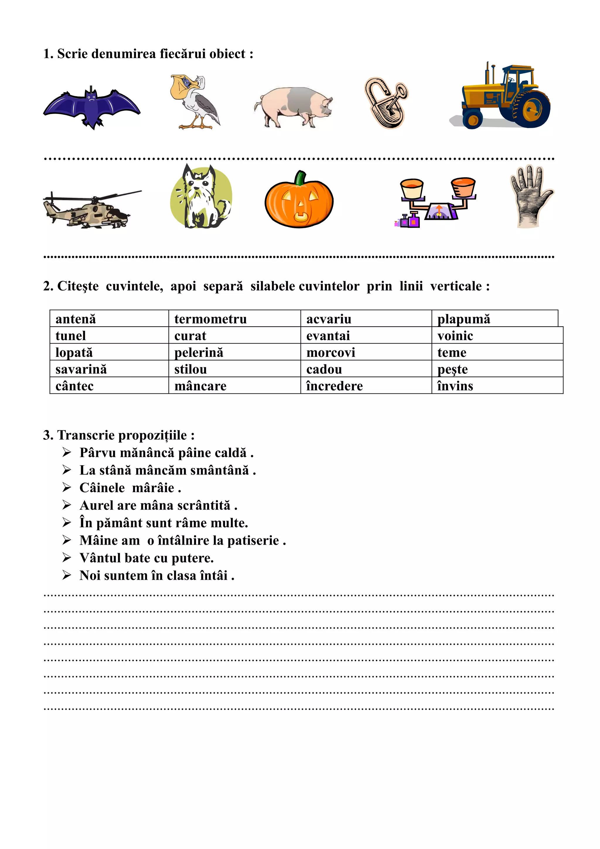 6654510 fise-limba-romana-clasa-i | PDF