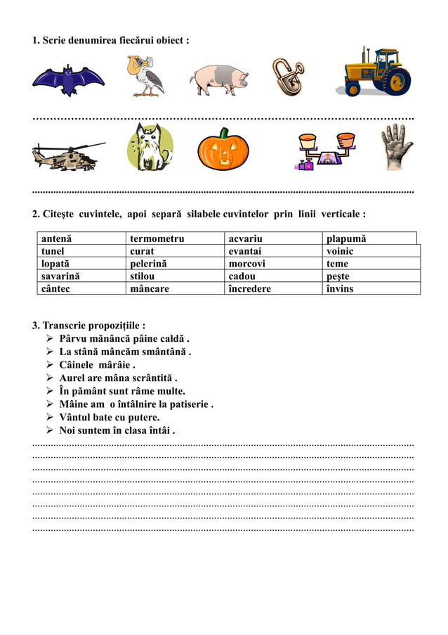 6654510 fise-limba-romana-clasa-i | PDF