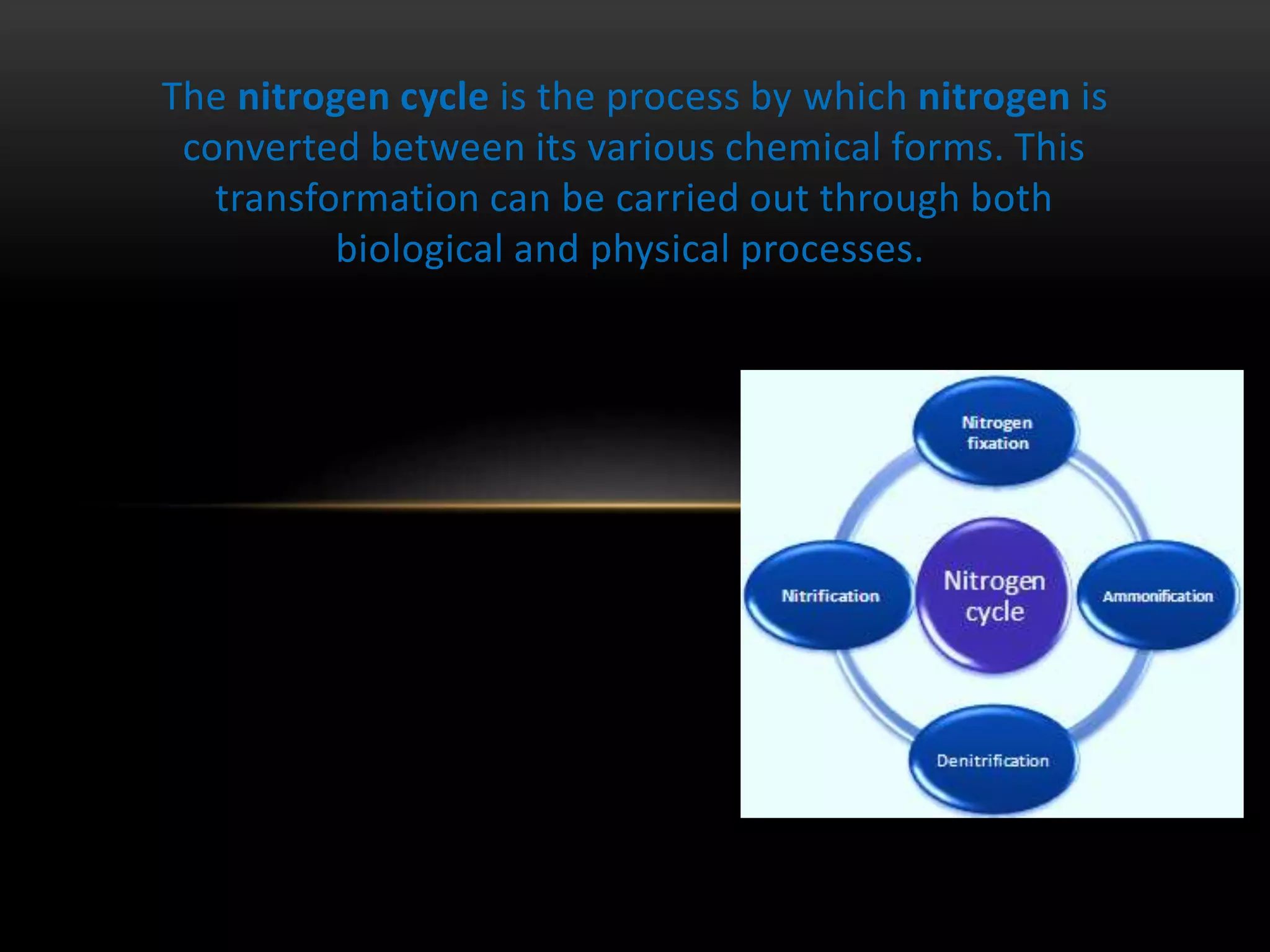 Soil Microbiology & Nitrogen Cycle | PPTX