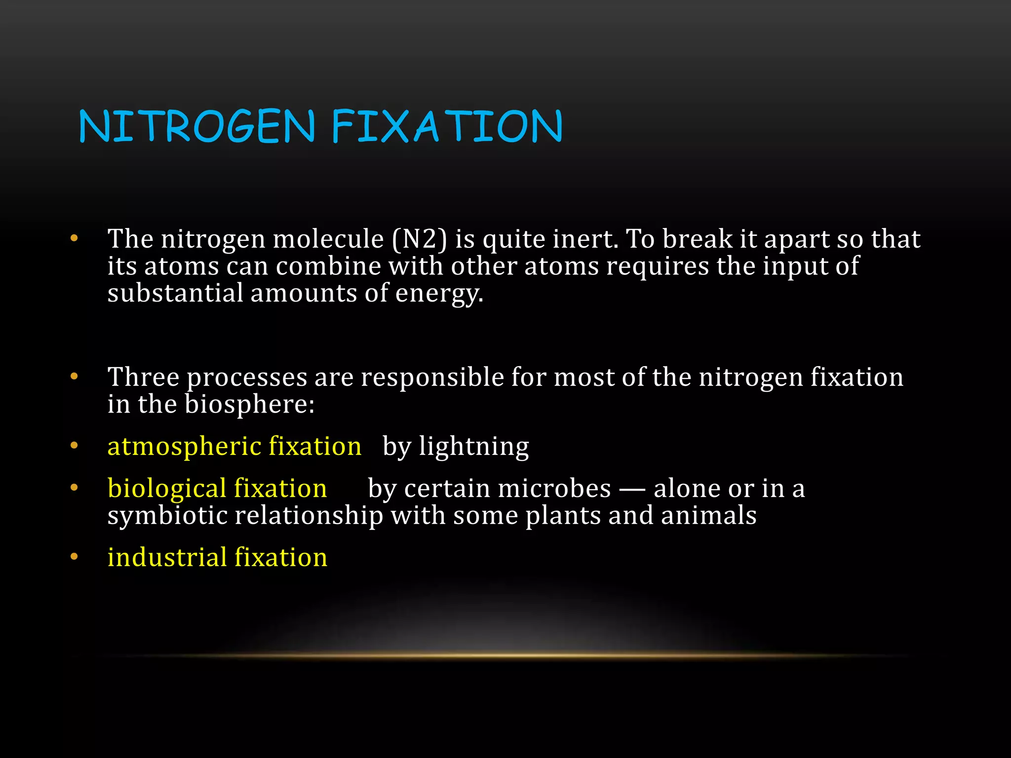 Soil Microbiology & Nitrogen Cycle | PPTX
