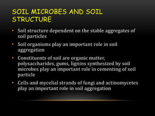Soil Microbiology & Nitrogen Cycle | PPTX