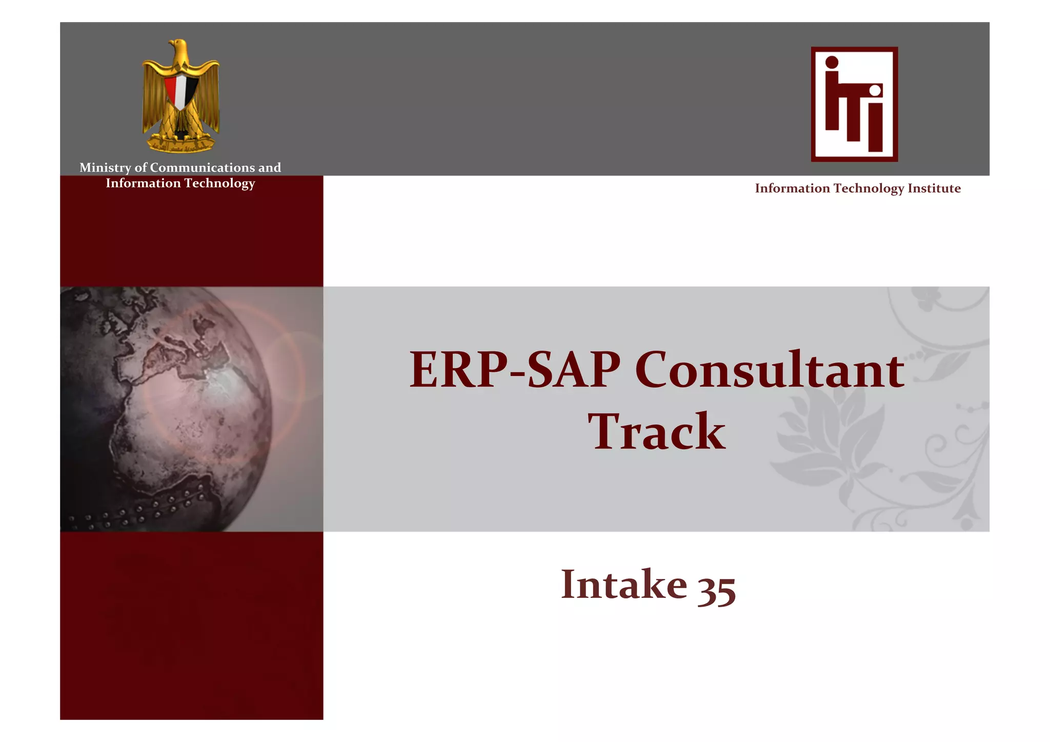 erp-sap consultant_intake35_000-001 | PDF