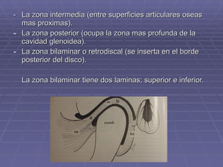 La Articulacion Temporomandibular | PPT