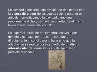 La Articulacion Temporomandibular | PPT