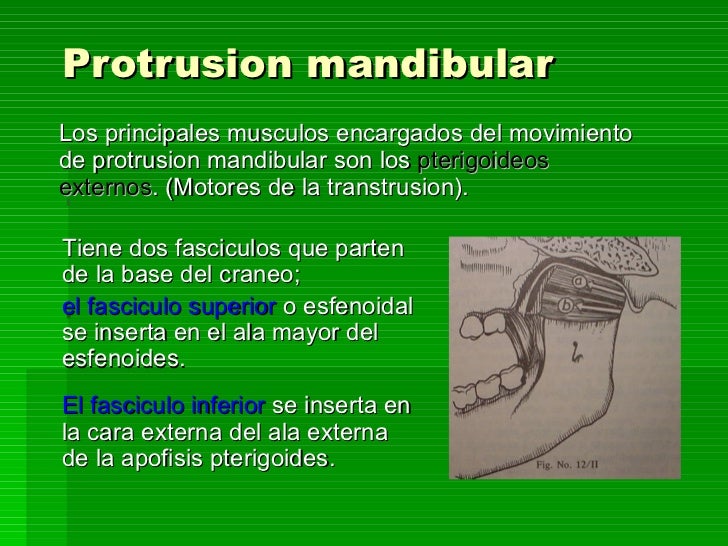 La Articulacion Temporomandibular