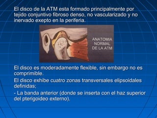 anatomia-de-la-articulacion-temporomandibular | PPT