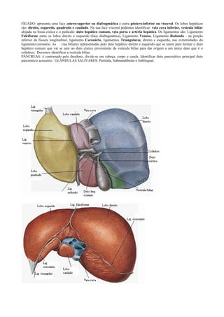 6679941 atlas-sistema-digestivo | PDF