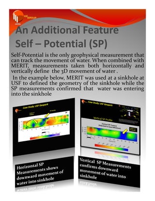 MERIT_Brochure_002 | PDF