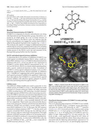 BACE1 inhibitor | PDF