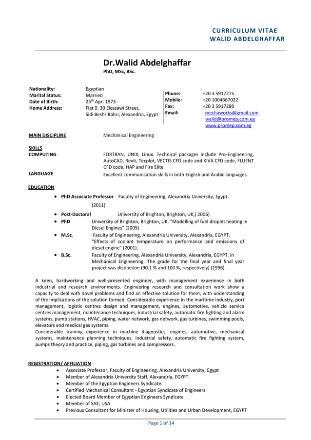 Walid Abdelghaffar _Professional CV | PDF