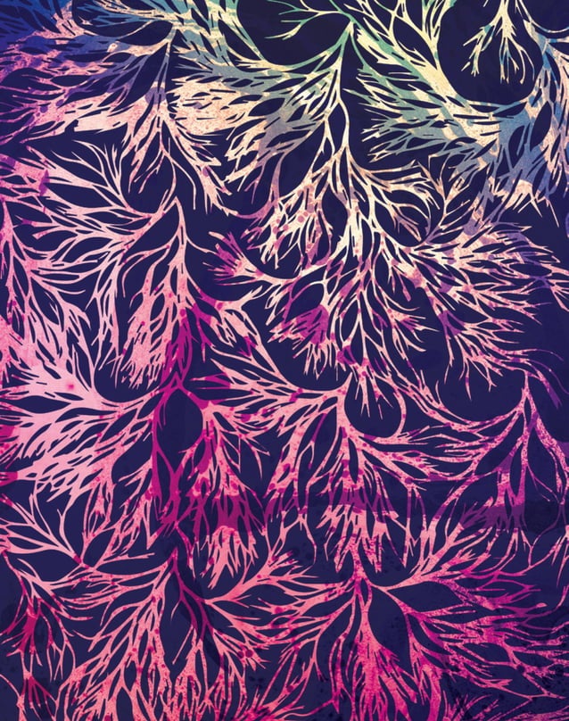 The Ophthalmologist_NGF | PDF | Eye and Vision Conditions | Diseases ...