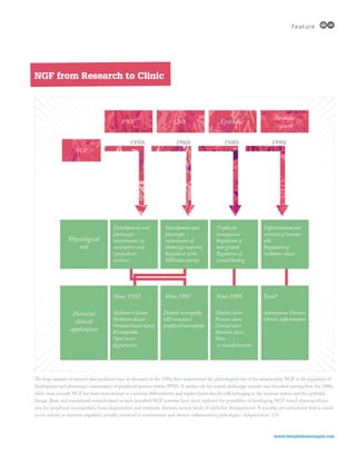 The Ophthalmologist_NGF | PDF | Eye and Vision Conditions | Diseases ...