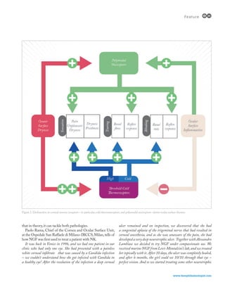 The Ophthalmologist_NGF | PDF | Eye and Vision Conditions | Diseases ...