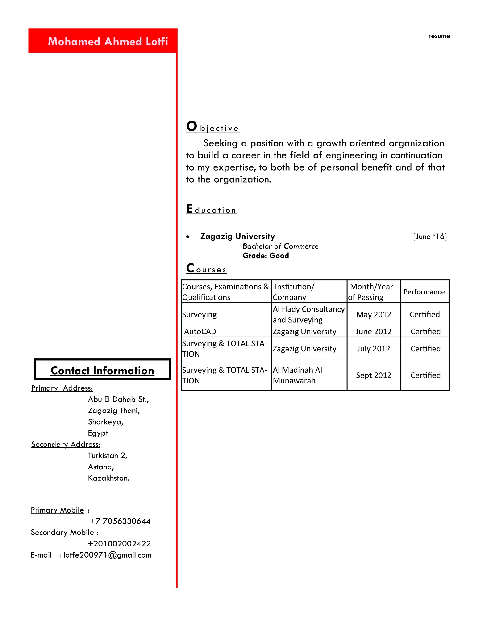 Mohamed Lotfy CV | PDF