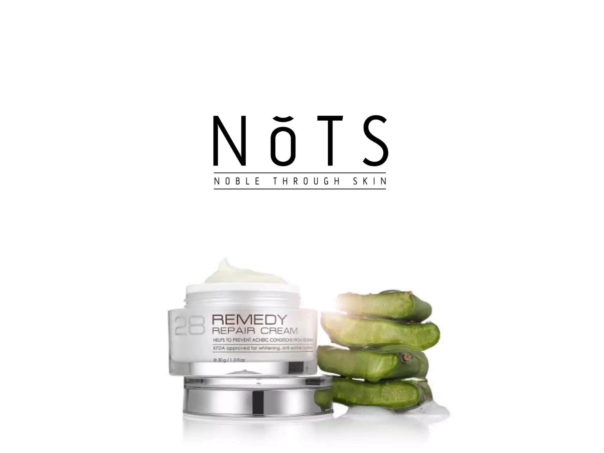 NoTS company Info & Product Catalog | PPT