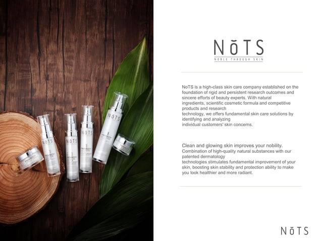 NoTS company Info & Product Catalog | PPT
