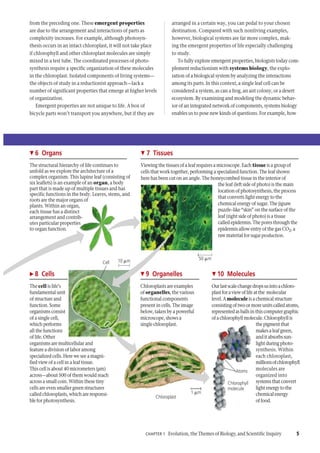 Campbell Biology 12th Edition PDF Textbook | PDF