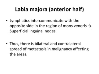 Vulval ca and vulval lymph | PPTX