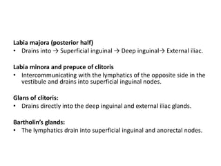 Vulval ca and vulval lymph | PPTX