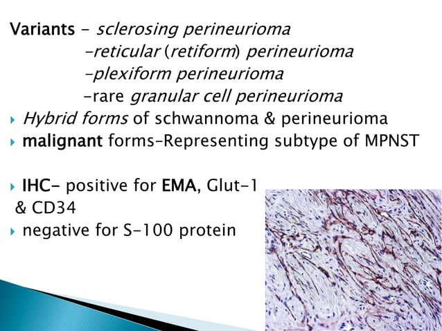 67. peripheral nerves | PPT