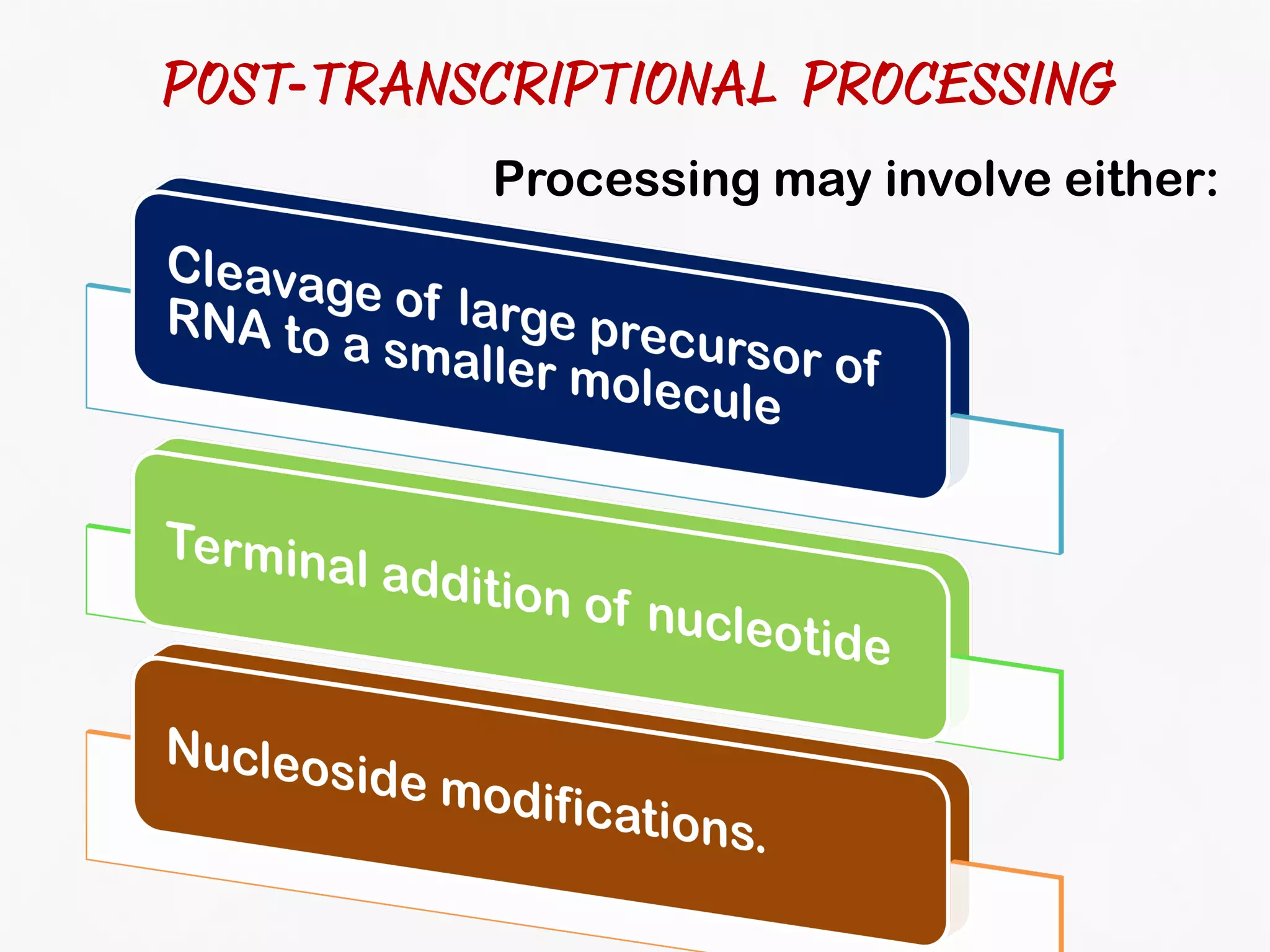 DNA Transcription and RNA Processing | PDF