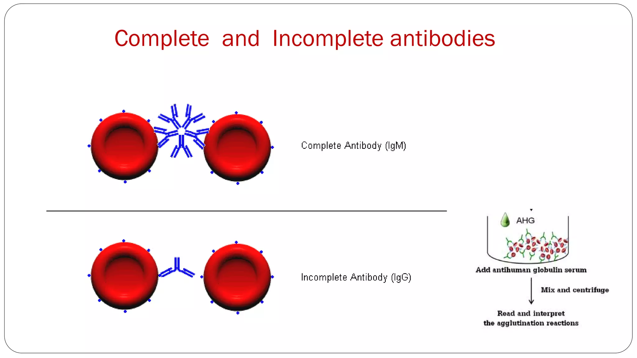 67. ABO isoagglutinintitration application, method and controversies.pdf