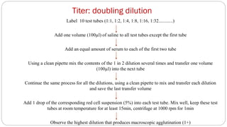 67. ABO isoagglutinintitration application, method and controversies.pdf