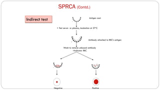 67. ABO isoagglutinintitration application, method and controversies.pdf