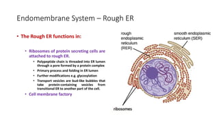 4 - A tour of the cell - Part One | PDF