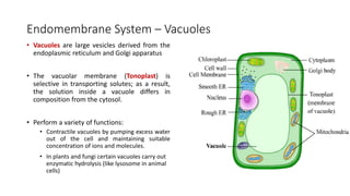 4 - A tour of the cell - Part One | PDF